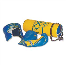 Buy Junior Boxing Kit for Kids Online, Manufacturer, India